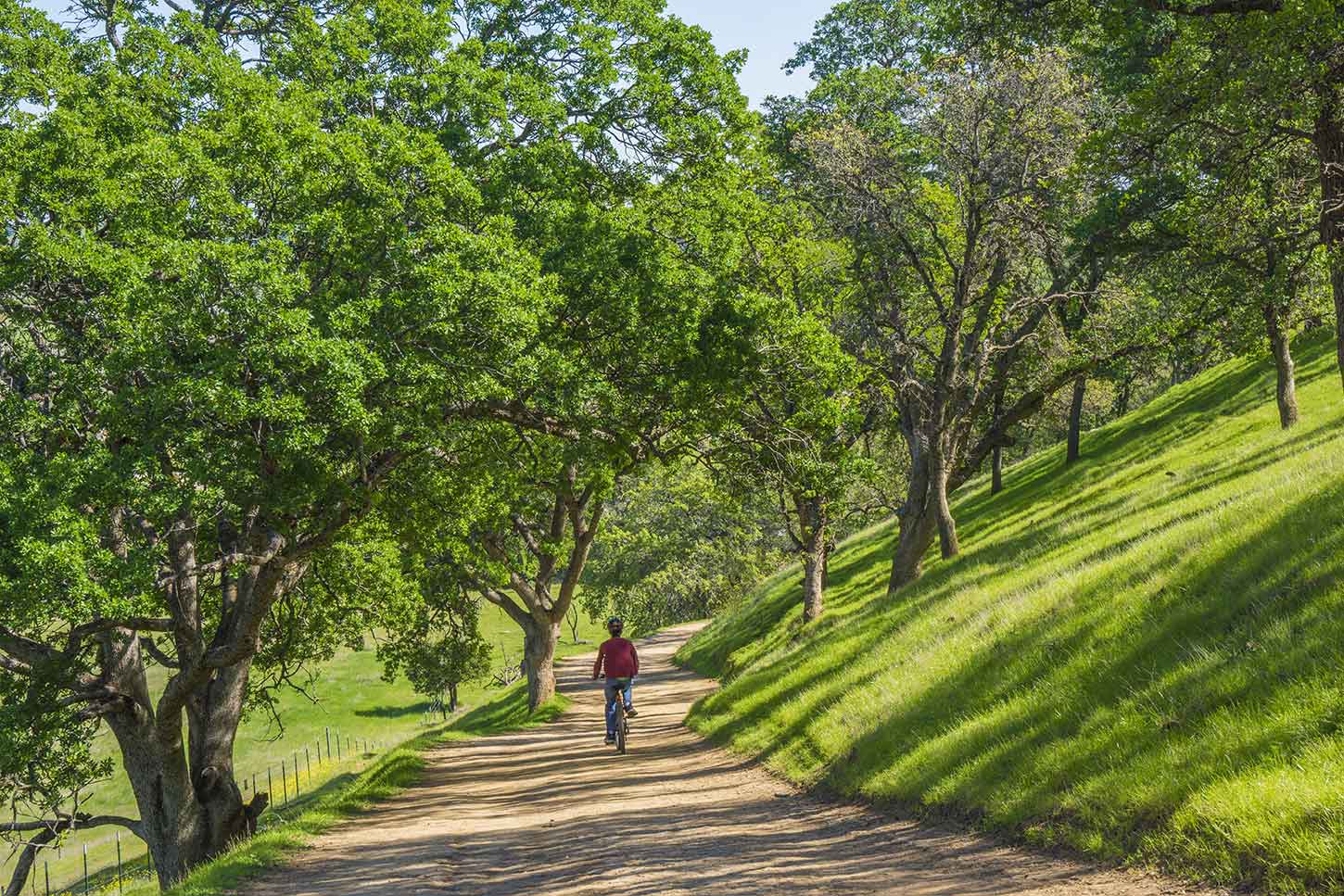 Round Valley Regional Preserve