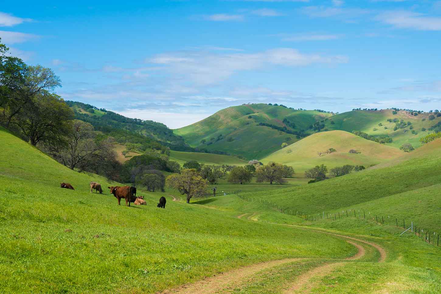 Round Valley Regional Preserve