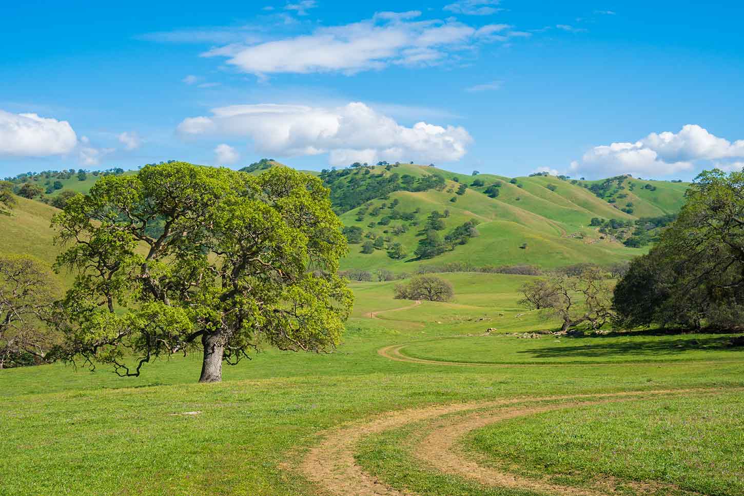 Round Valley Regional Preserve
