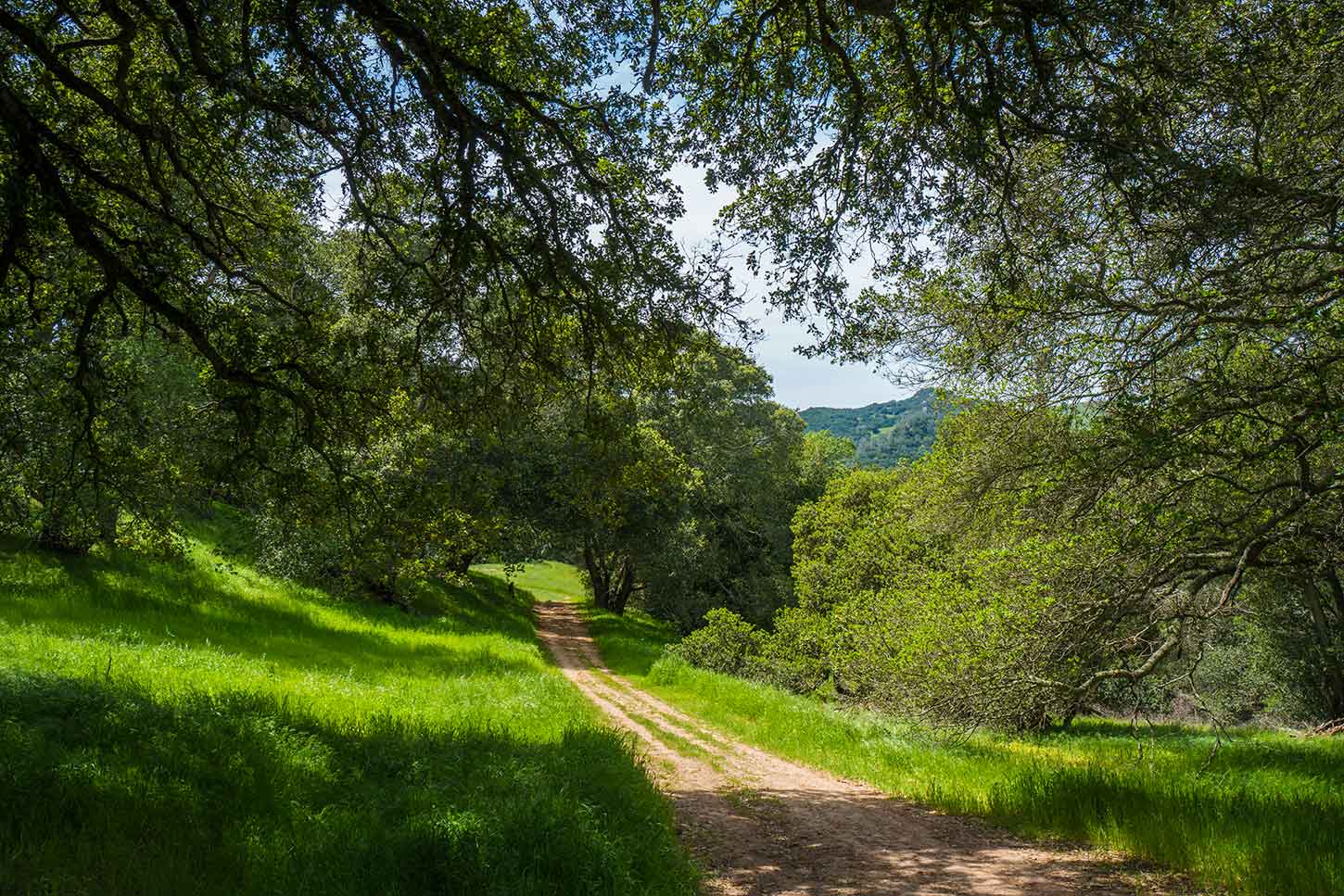 Sulphur Springs and Highland Ridge