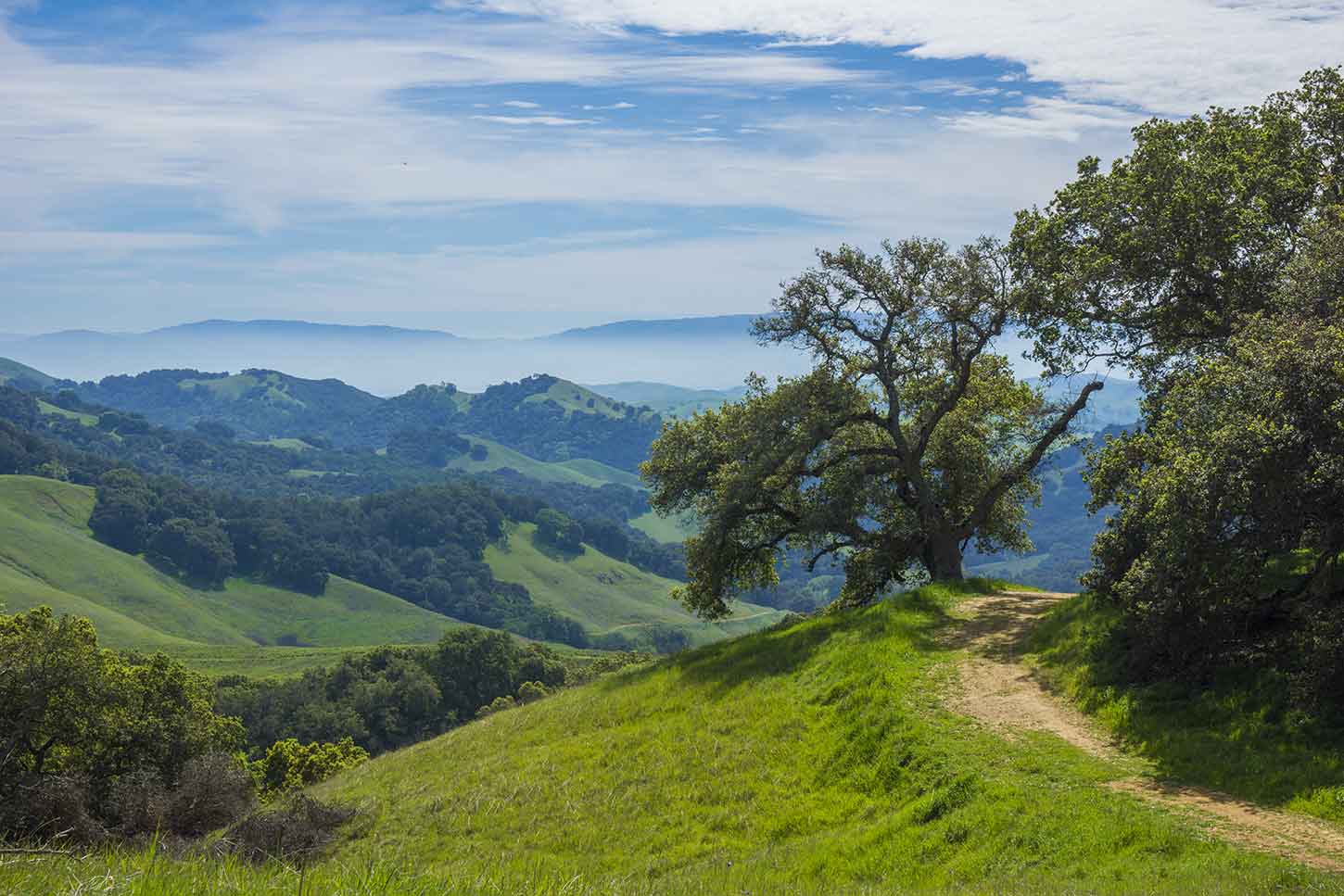 The Tassajara Creek Trail