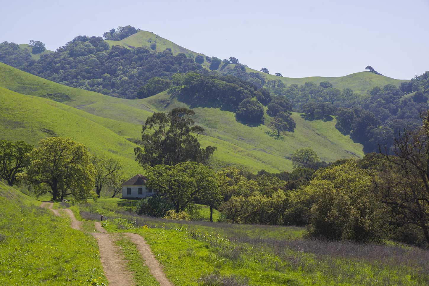 The Tassajara Creek Trail