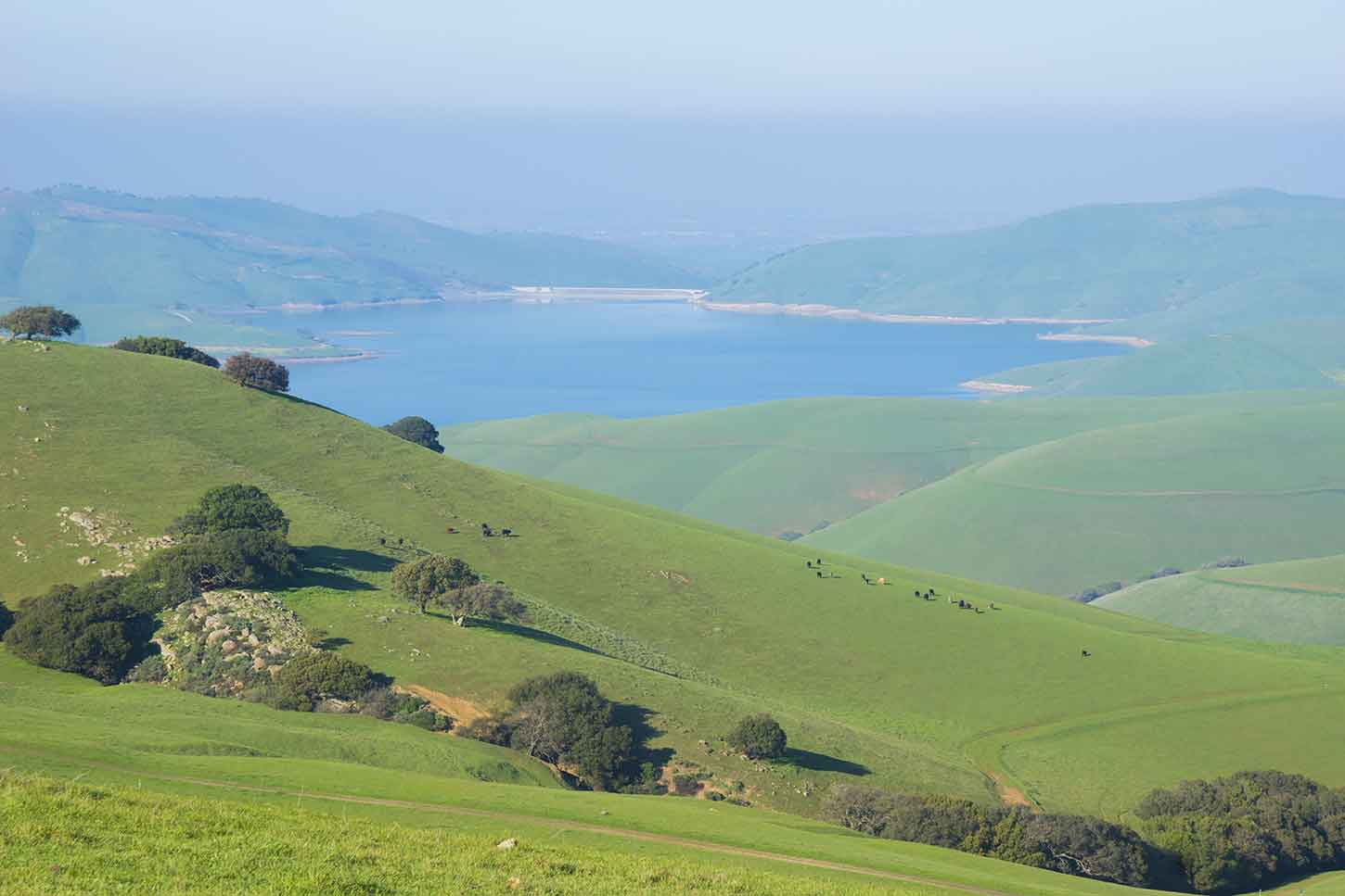 The Valley View Trail