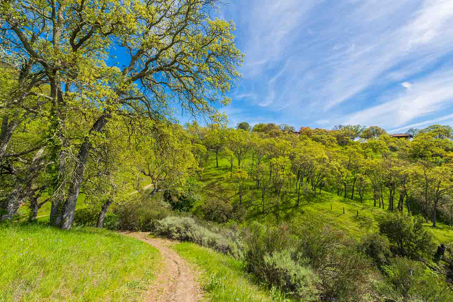 Wall Point and Green Valley