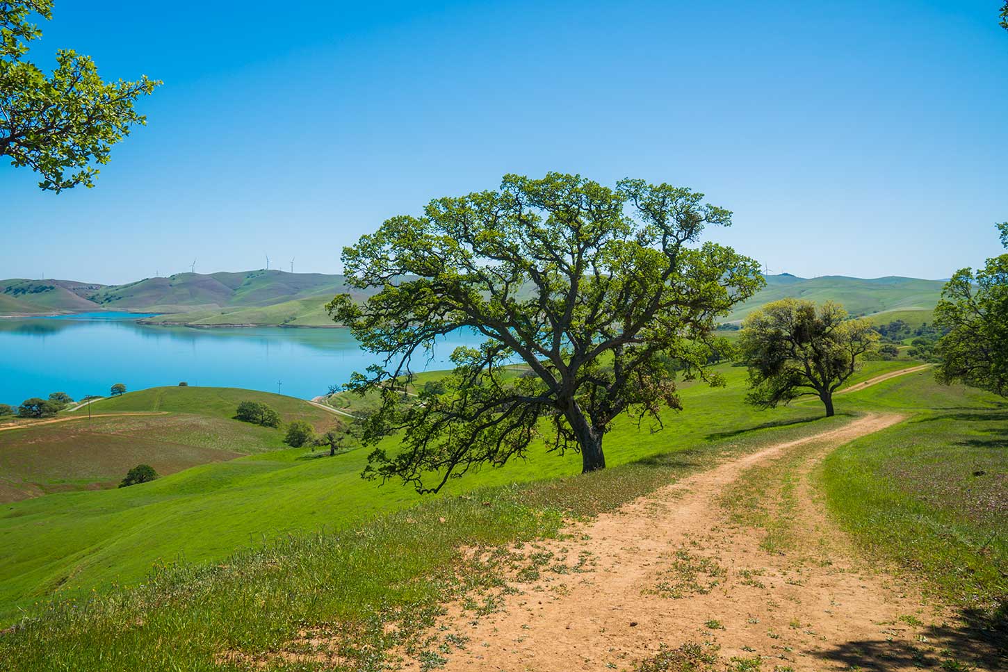Los Vaqueros and West Loop