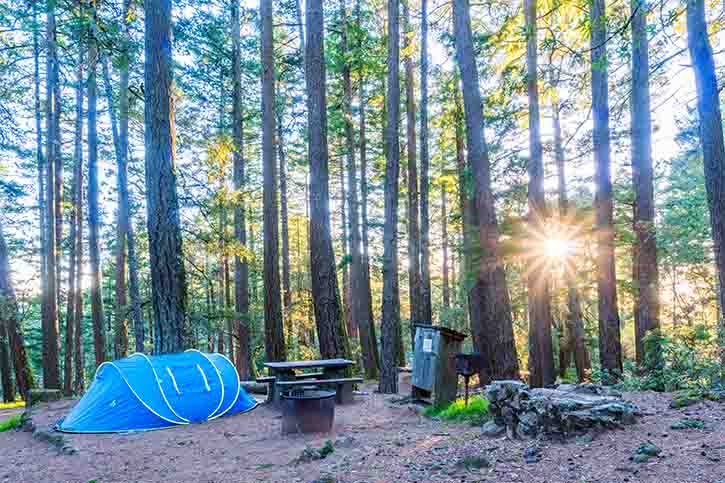 Pantoll and Bootjack Campgrounds