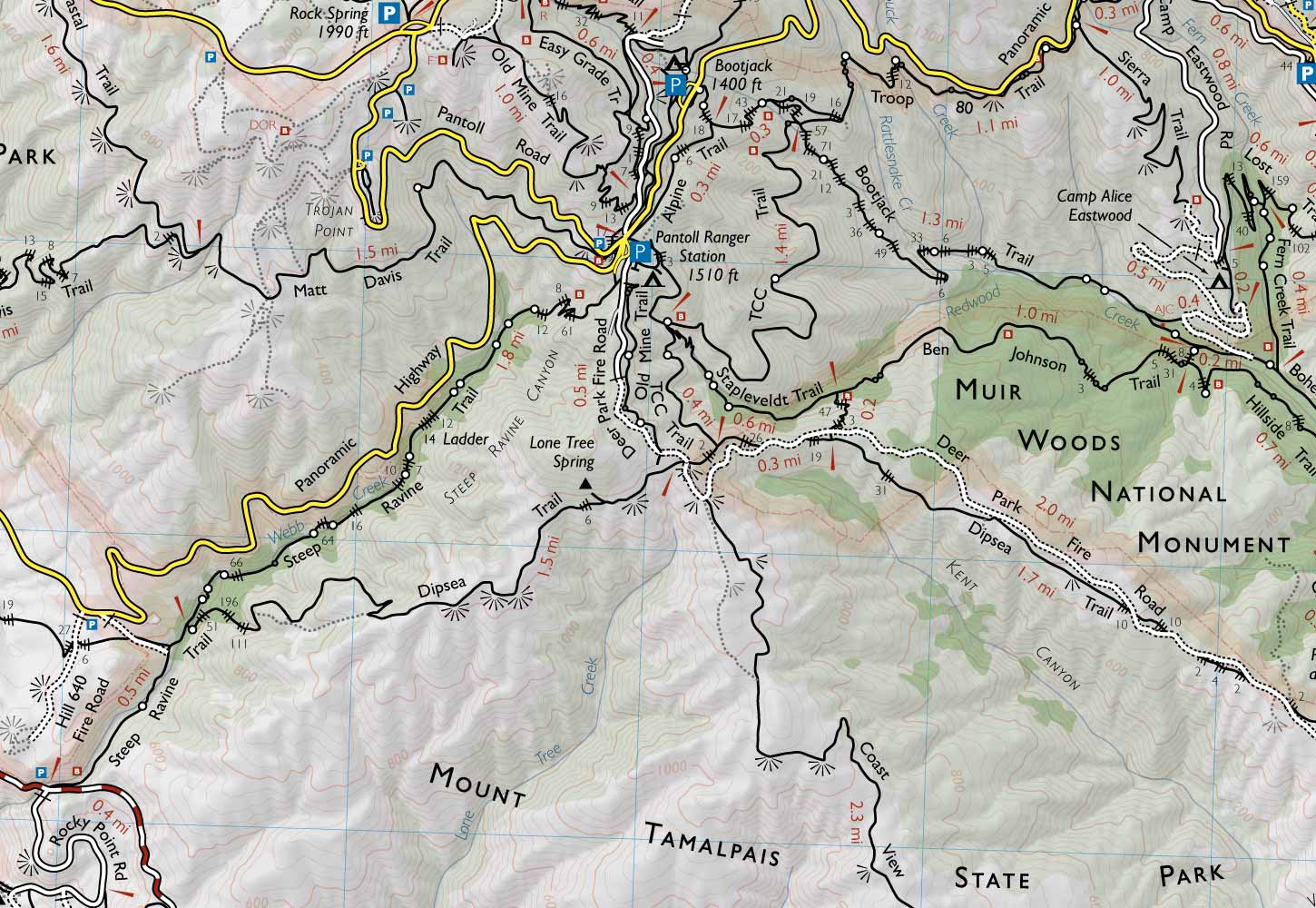 Dipsea and Steep Ravine
