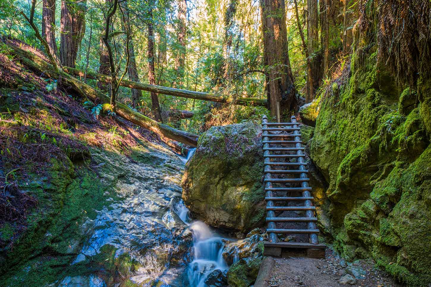 Willow Camp and Steep Ravine