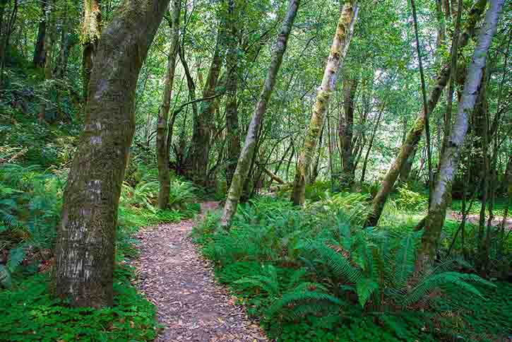 Rogue River-Siskiyou National Forest