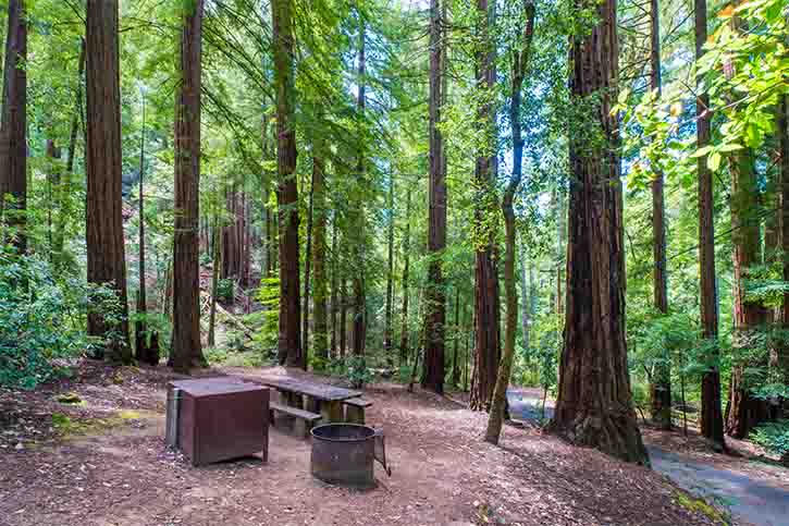Portola Redwoods State Park Campground