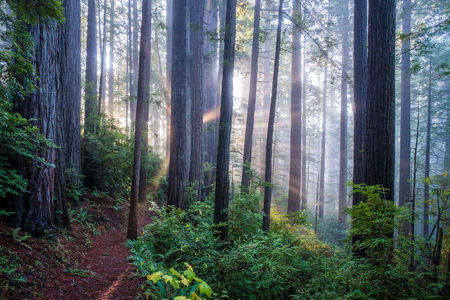 The Miners’ Ridge and James Irvine Loop