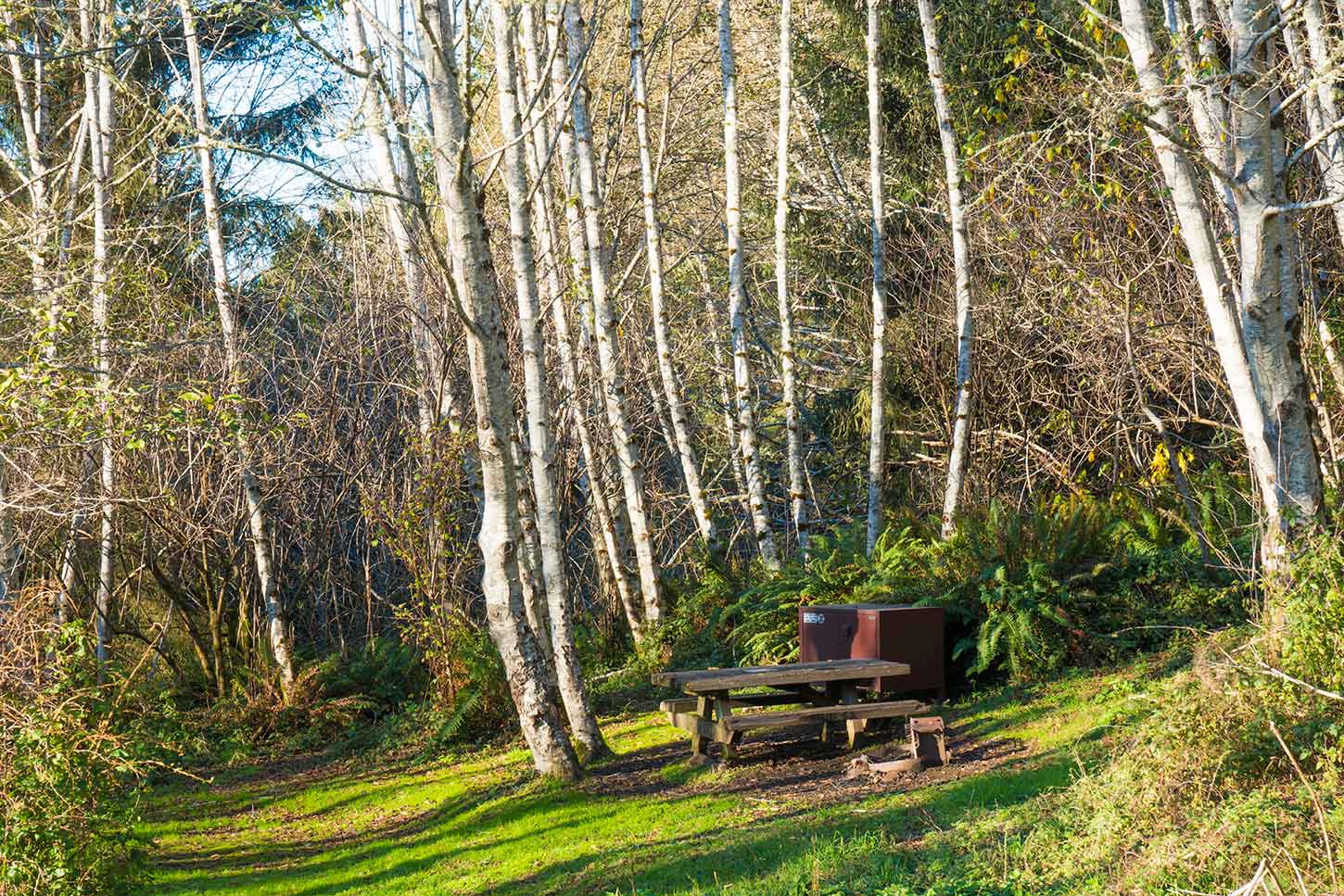 Flint Ridge Backcountry Camp
