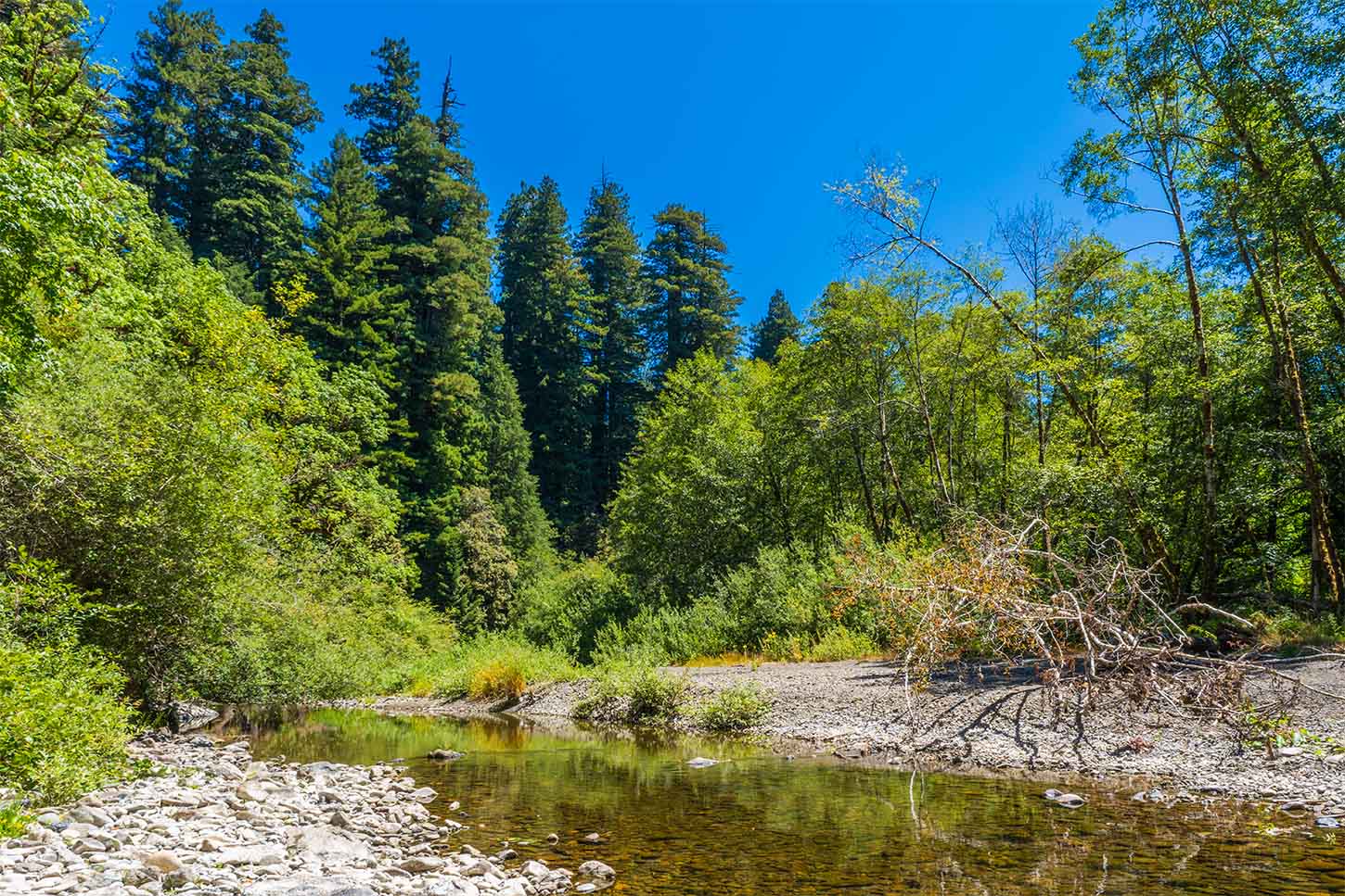 The Mill Creek Horse Trail