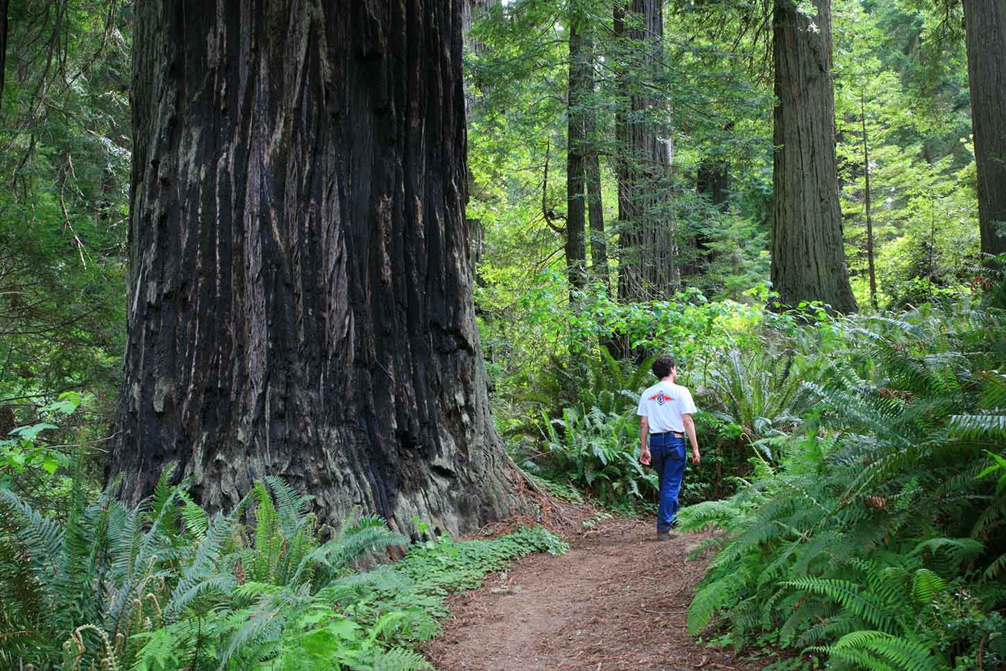 The Orick Horse Trails