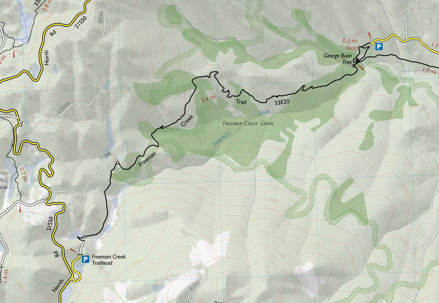 The Freeman Creek Grove