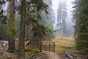 Camp Nelson area, Giant Sequoia National Monument