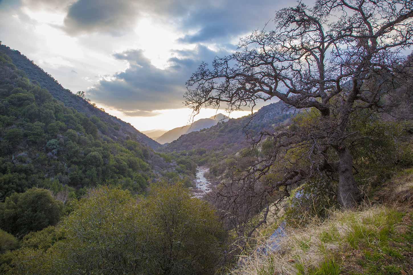 The Middle Fork Trail
