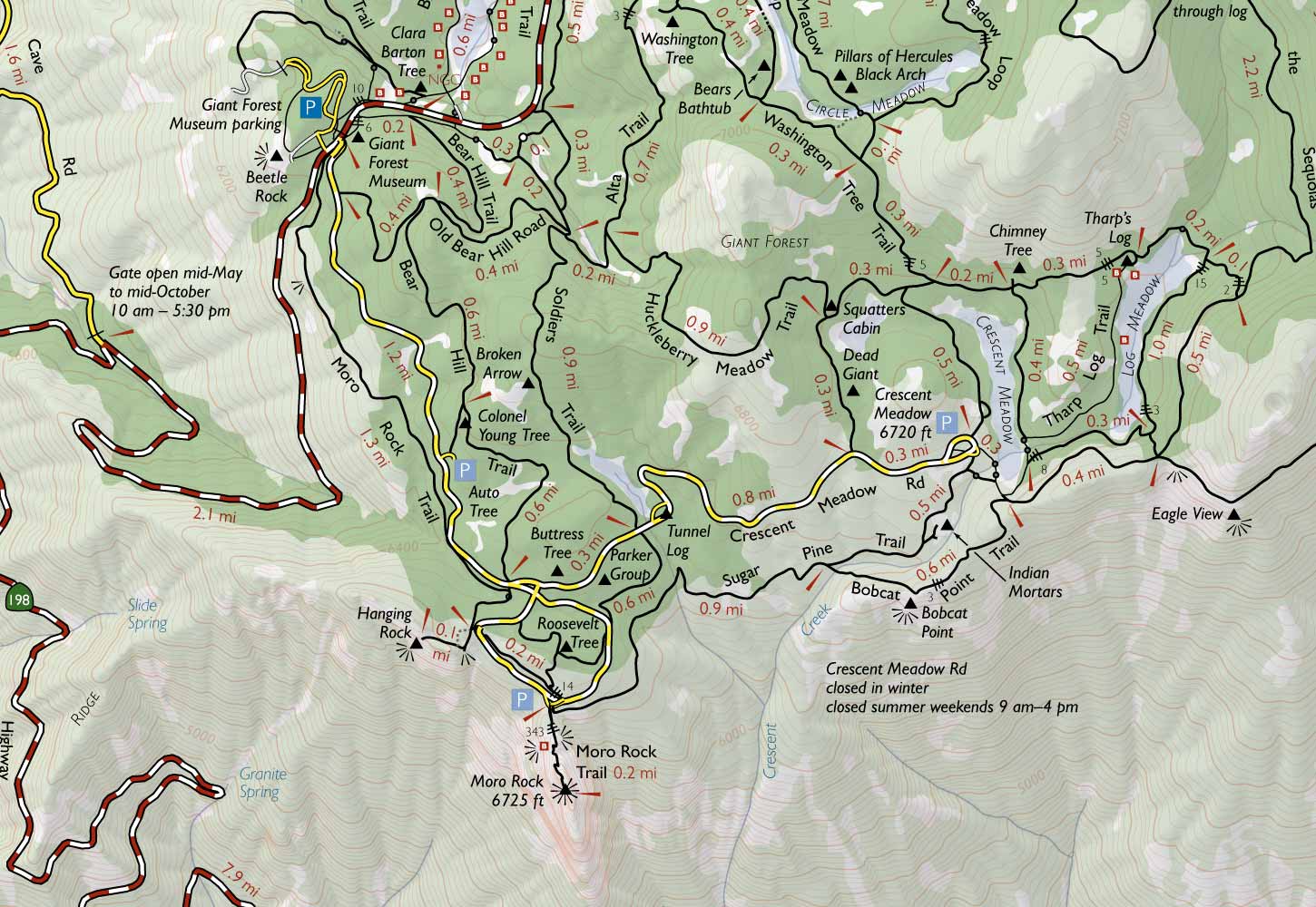 Moro Rock and Crescent Meadow