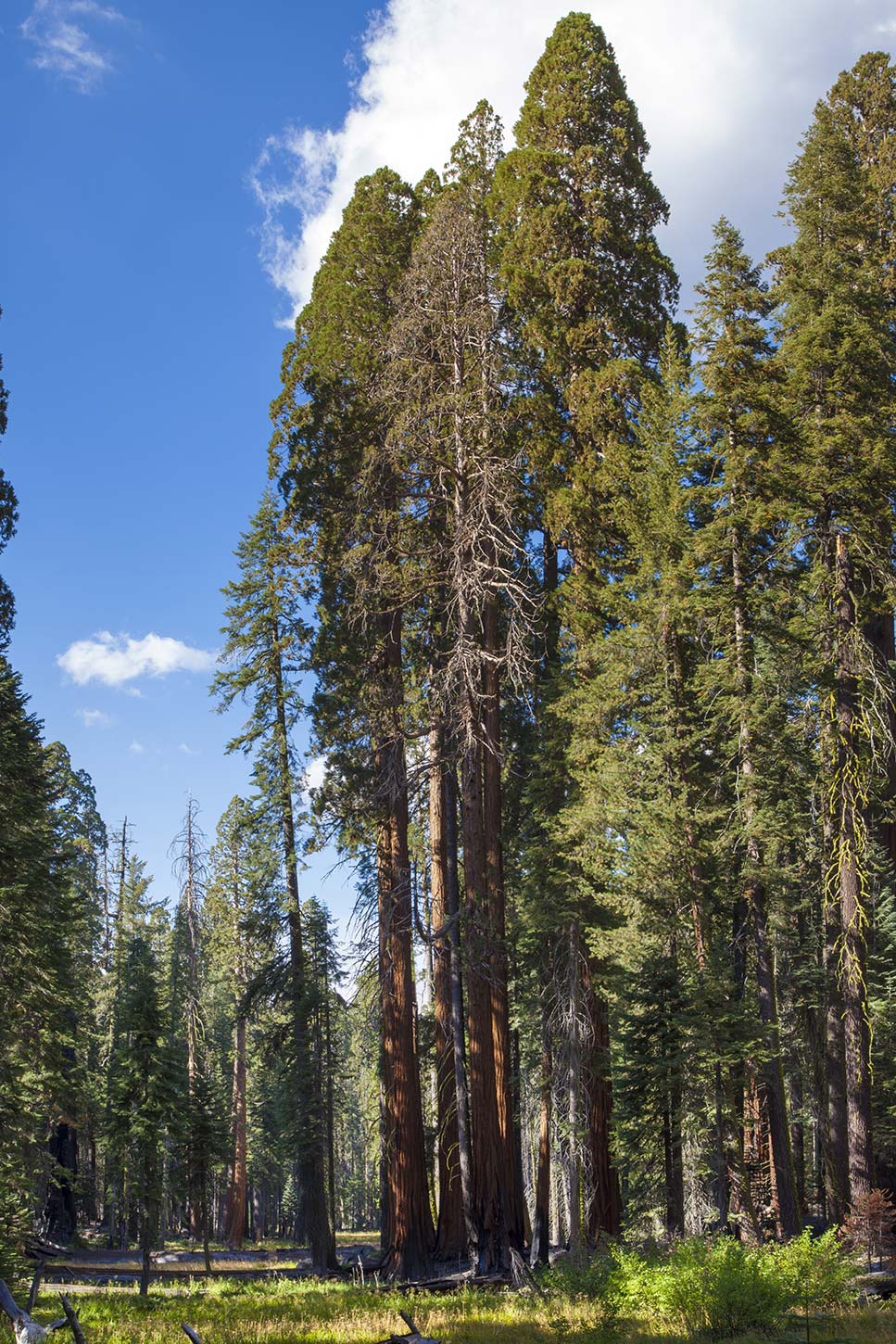 The Wolverton Cutoff Loop