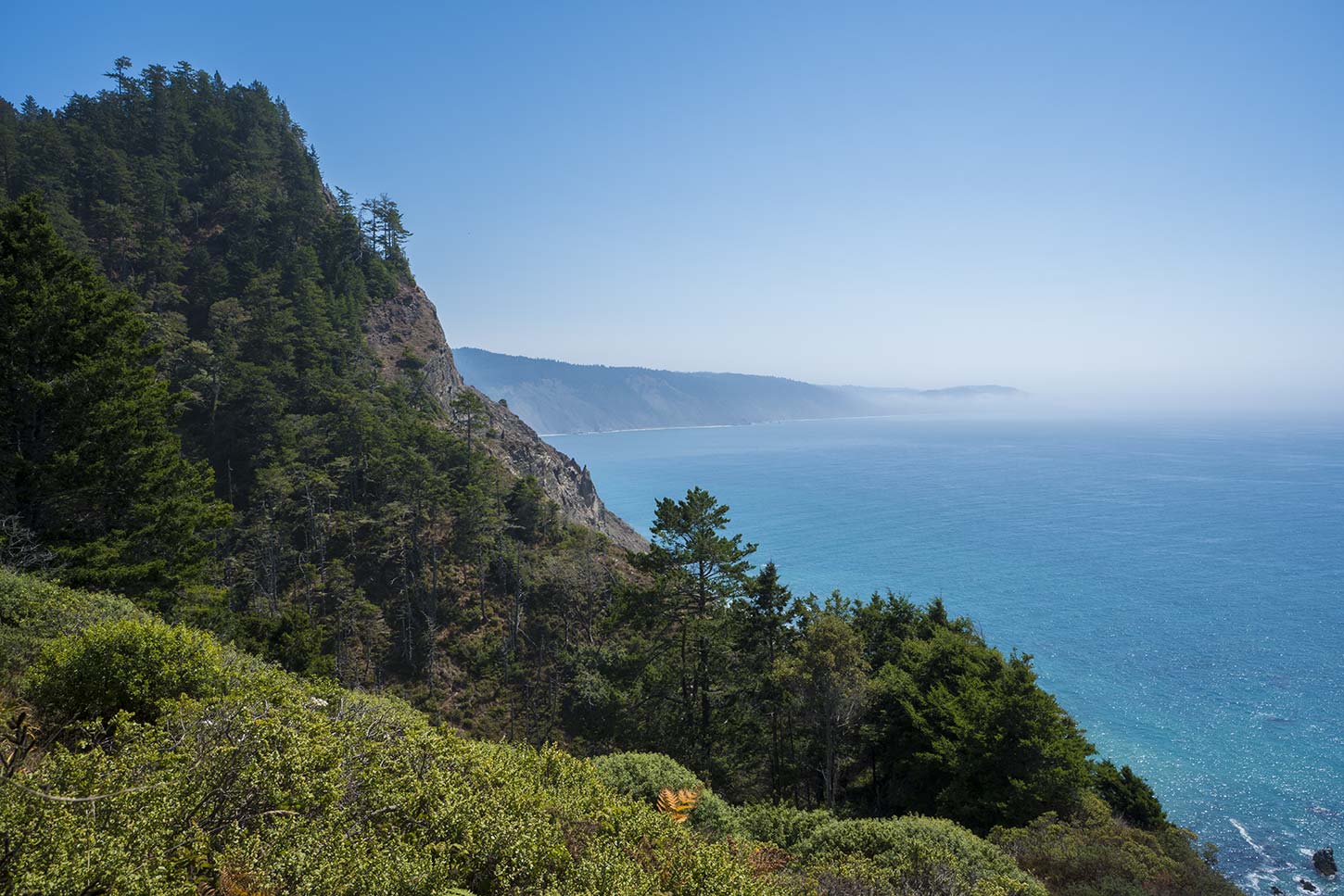 Sinkyone Wilderness State Park