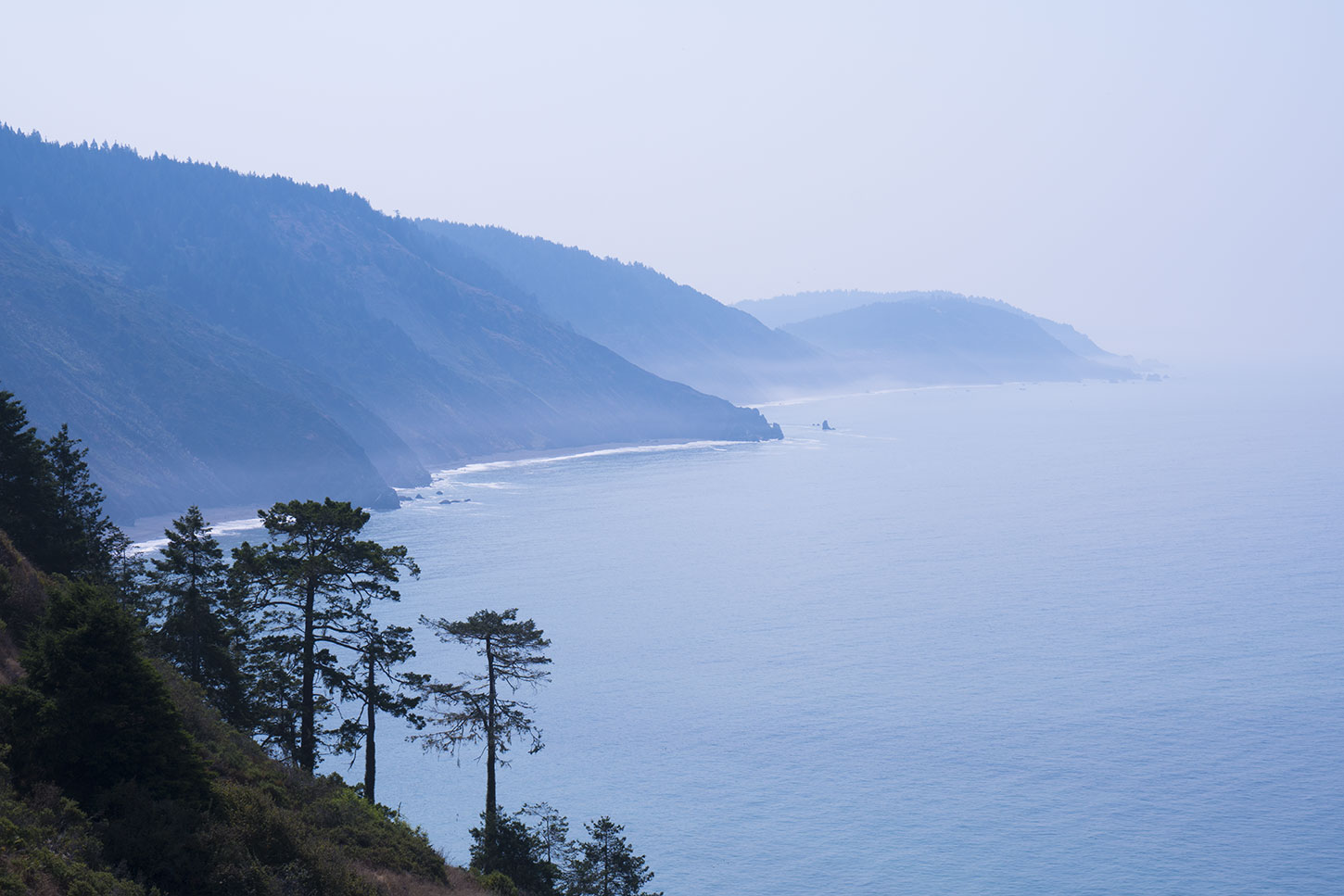 Sinkyone Wilderness State Park