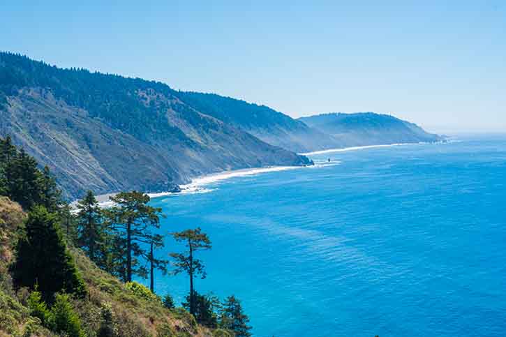 Sinkyone Wilderness State Park