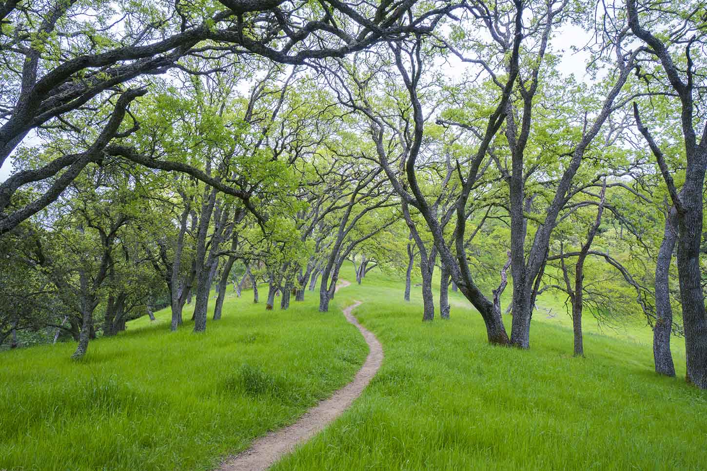 Almaden Quicksilver County Park
