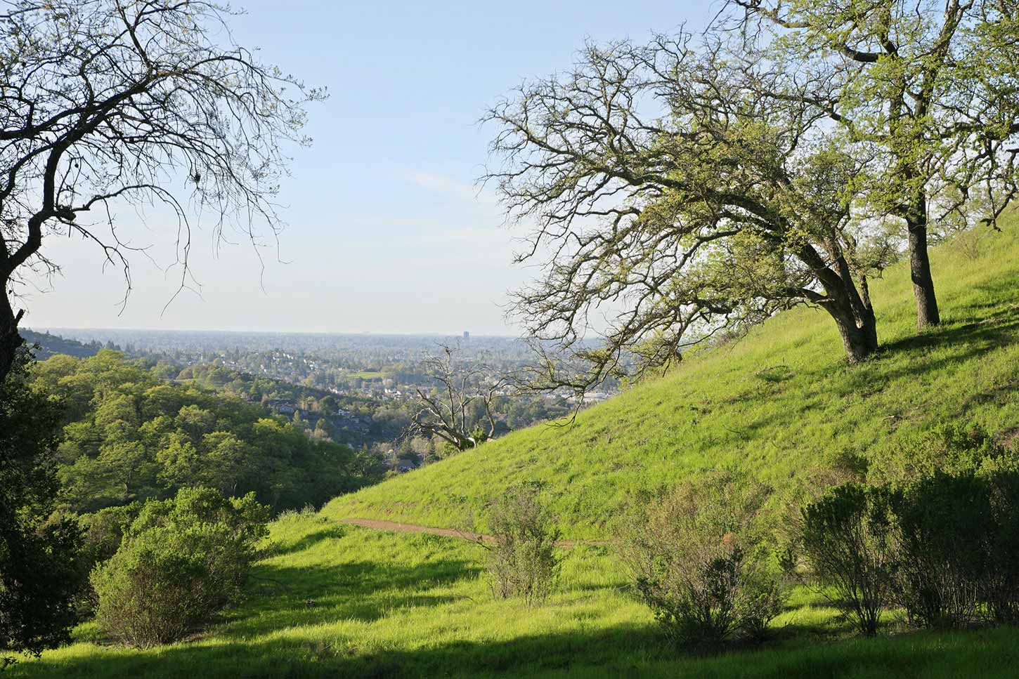 Almaden Quicksilver County Park