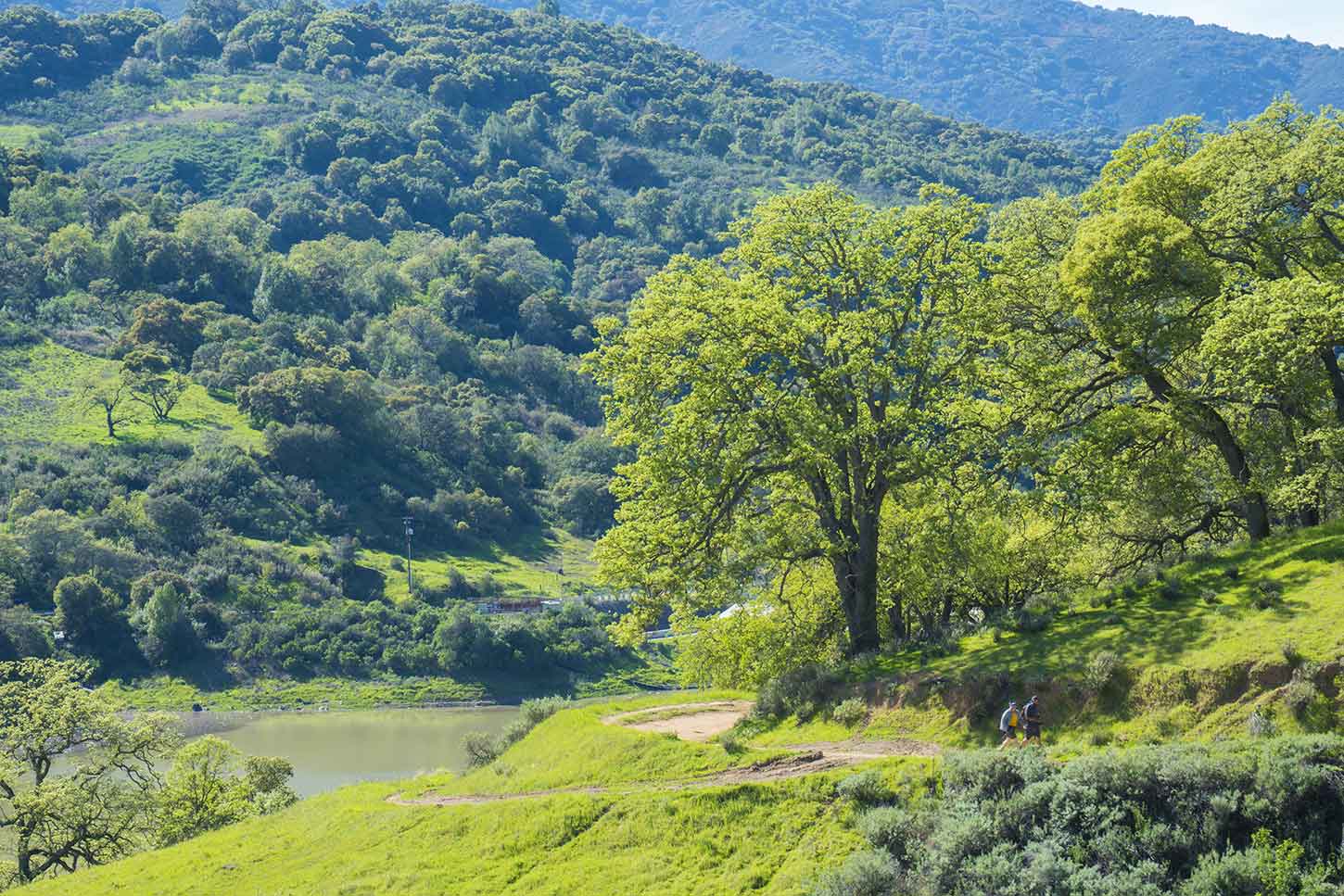 Almaden Quicksilver County Park