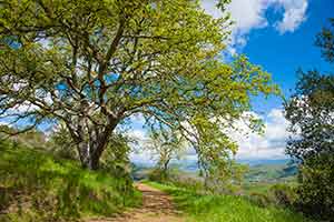 Almaden Valley Region