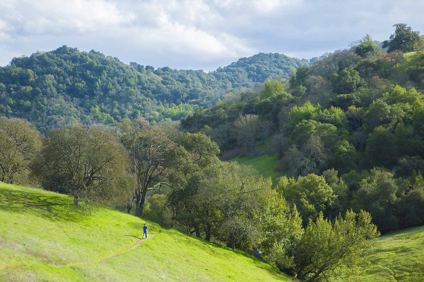 Calero County Park