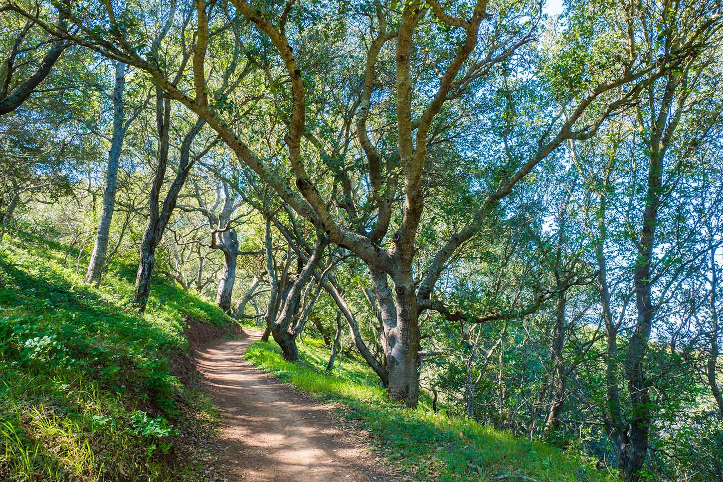 Calero County Park