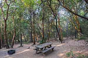 Castle Rock State Park