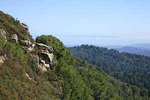 Big Basin and Castle Rock Region