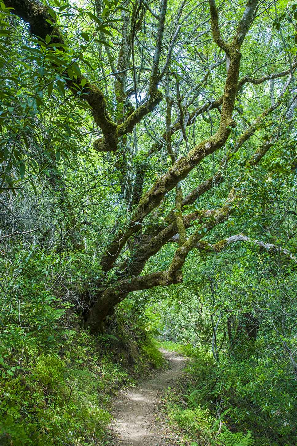 Foothills Nature Preserve