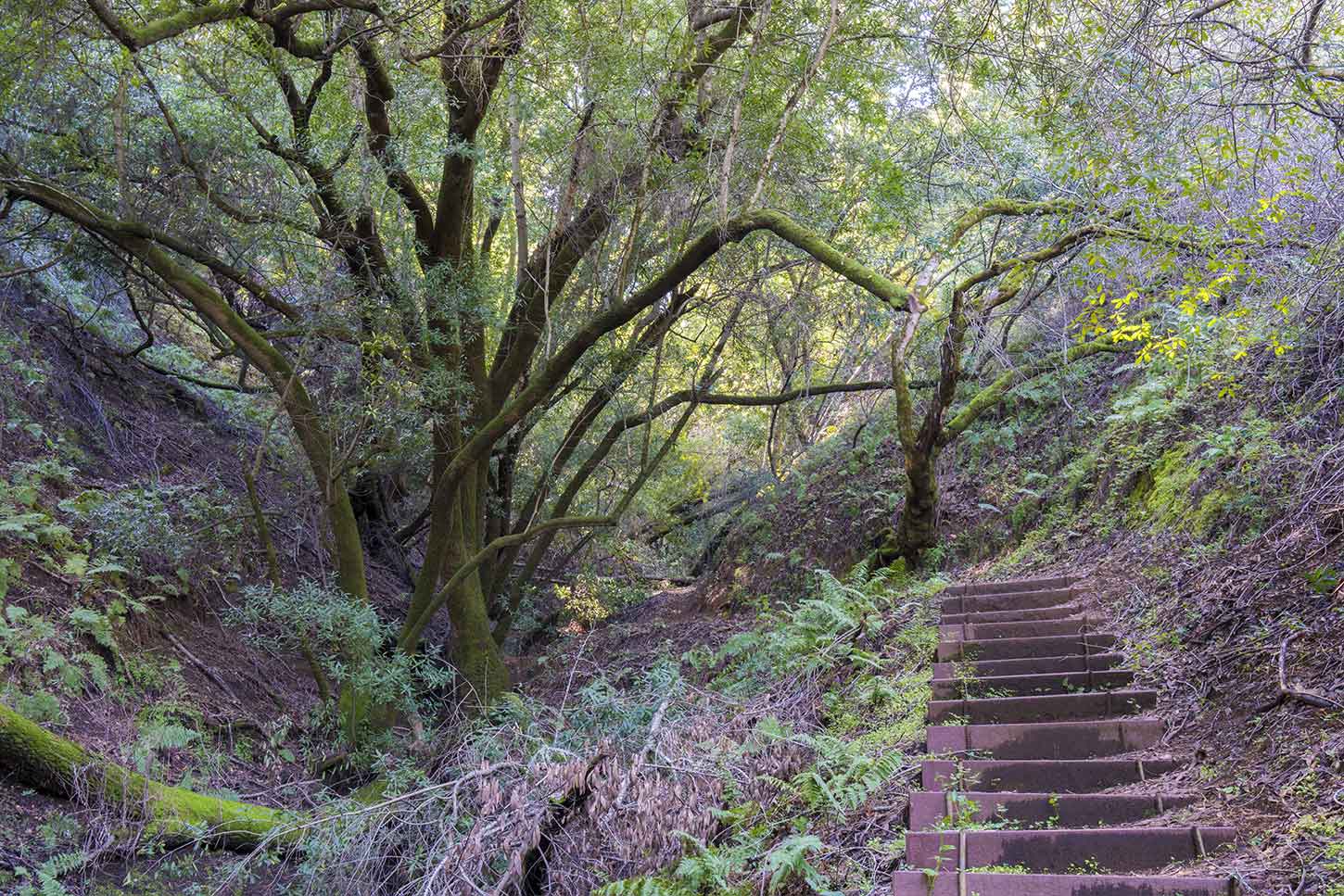 Foothills Nature Preserve