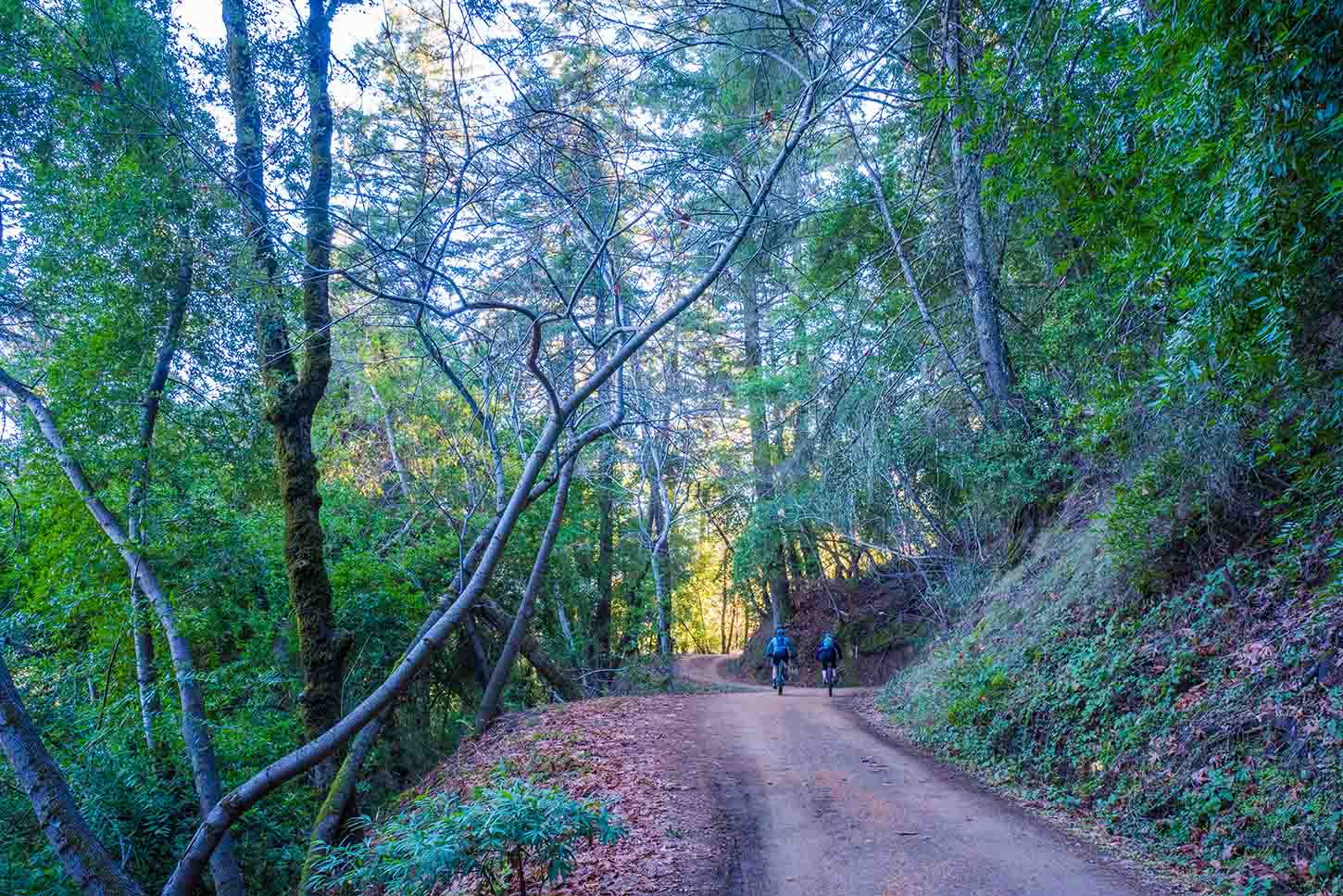 The John Nicholas Trail