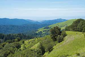 Skyline Ridge Region