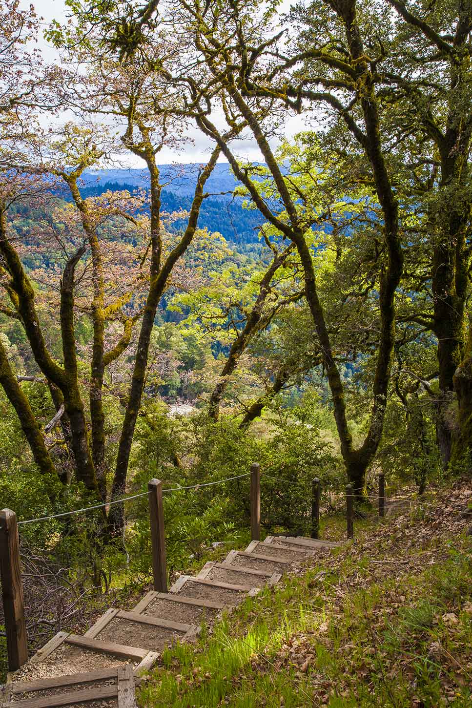 The Saratoga Gap and Ridge Trail Loop