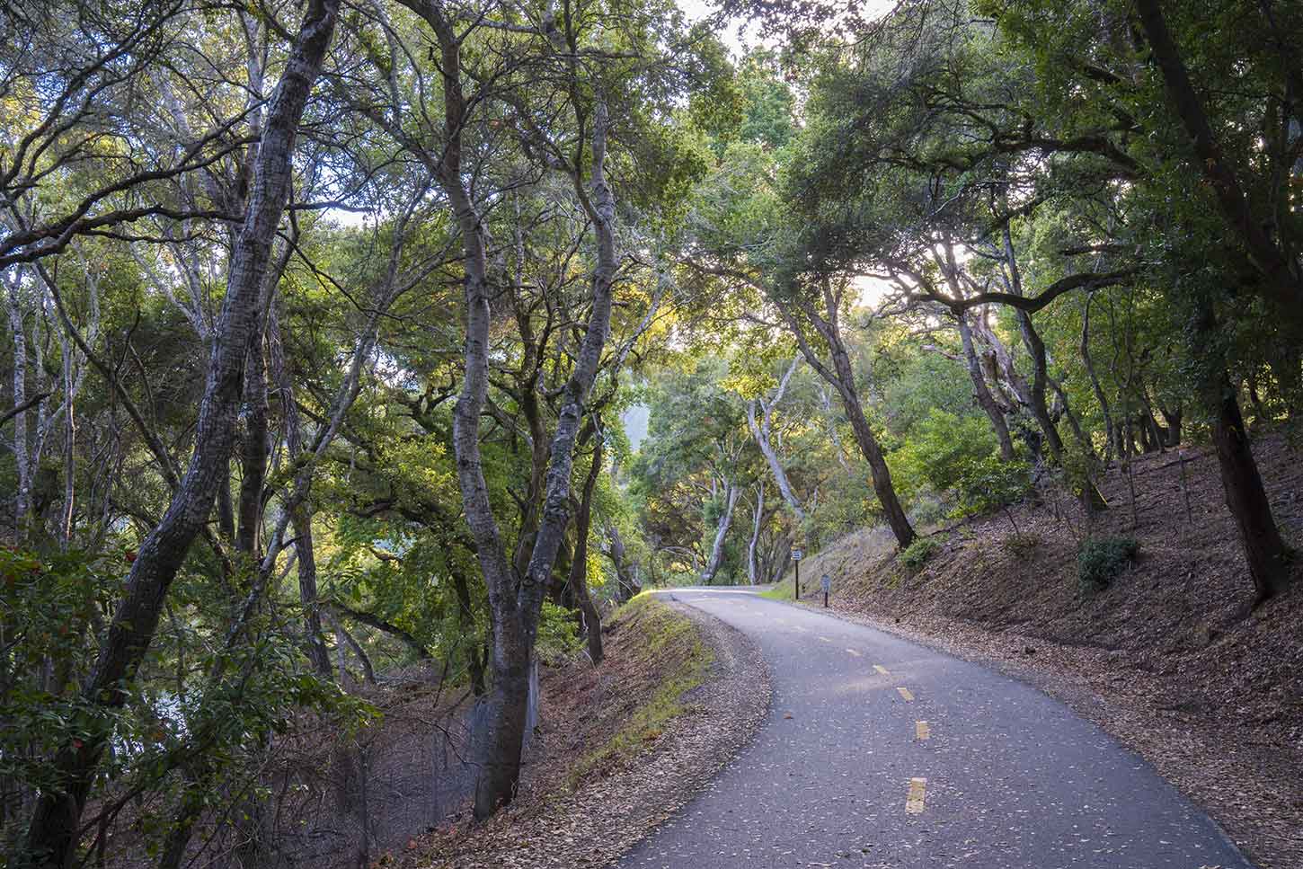 Crystal Springs Regional Trail