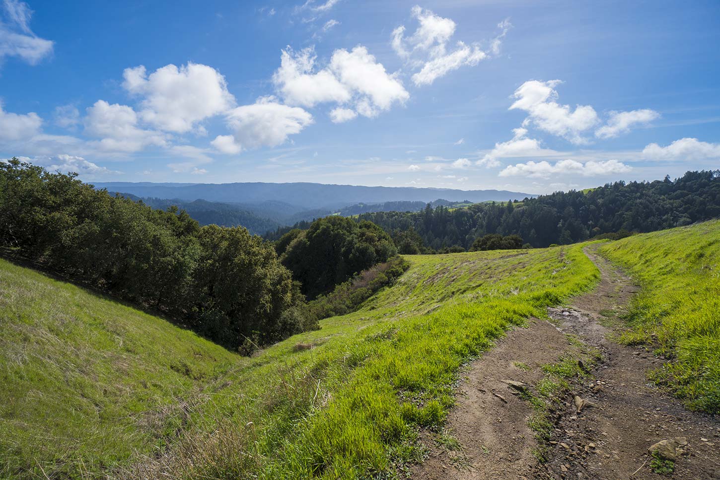 Skyline Ridge Open Space Preserve