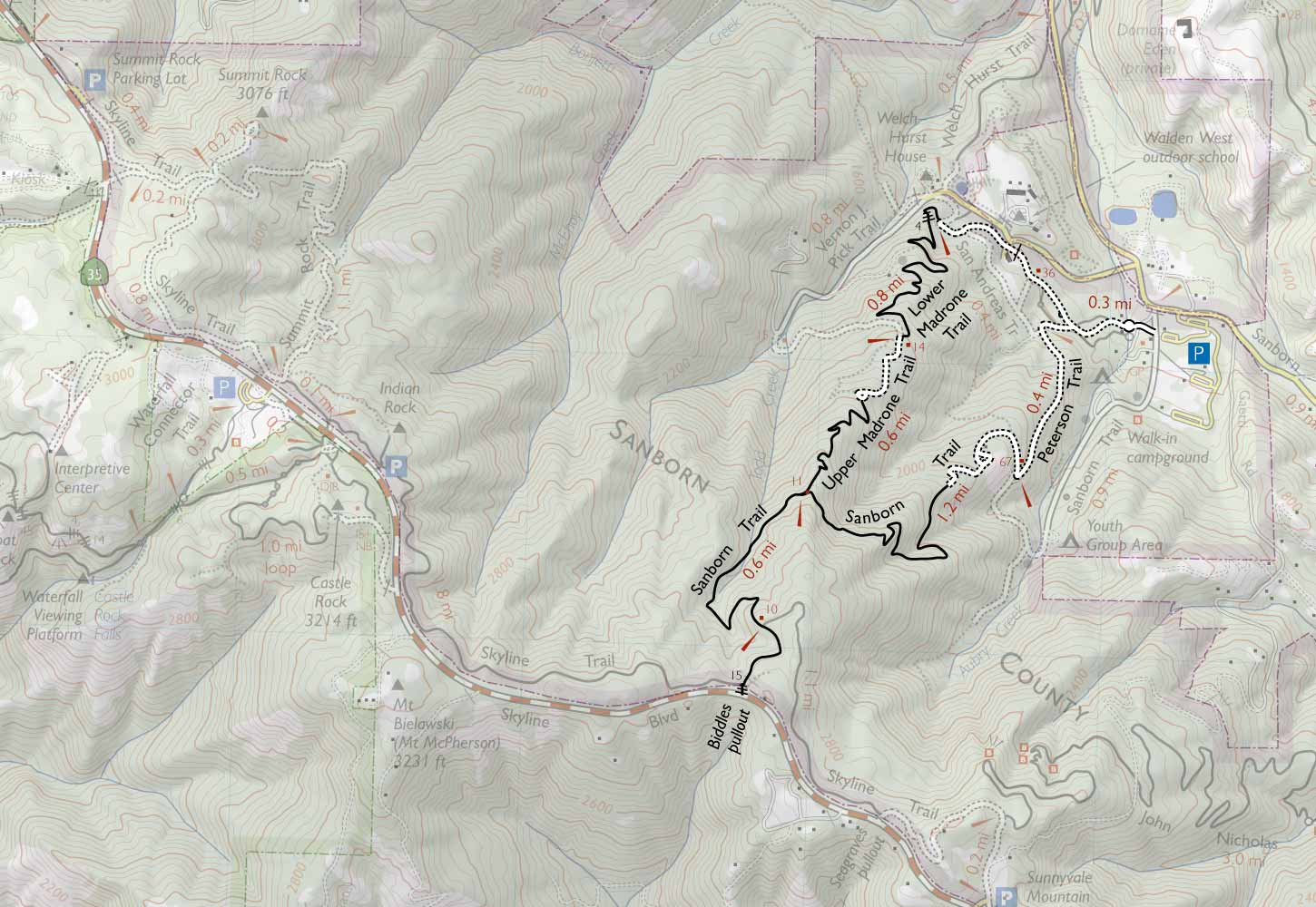 The Todd Creek Redwoods