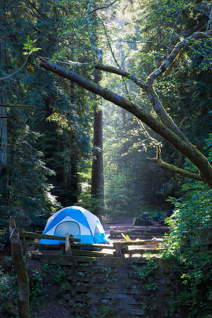 Samuel P. Taylor State Park